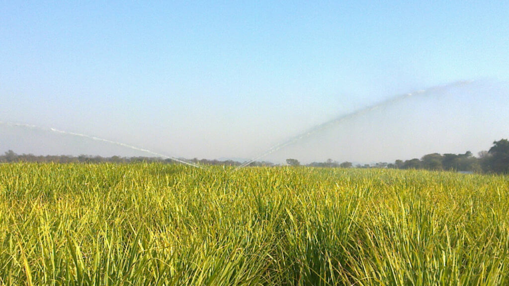 Cane Master 300 Irrigation System - Rotrix Africa Rainmaker Irrigation ...